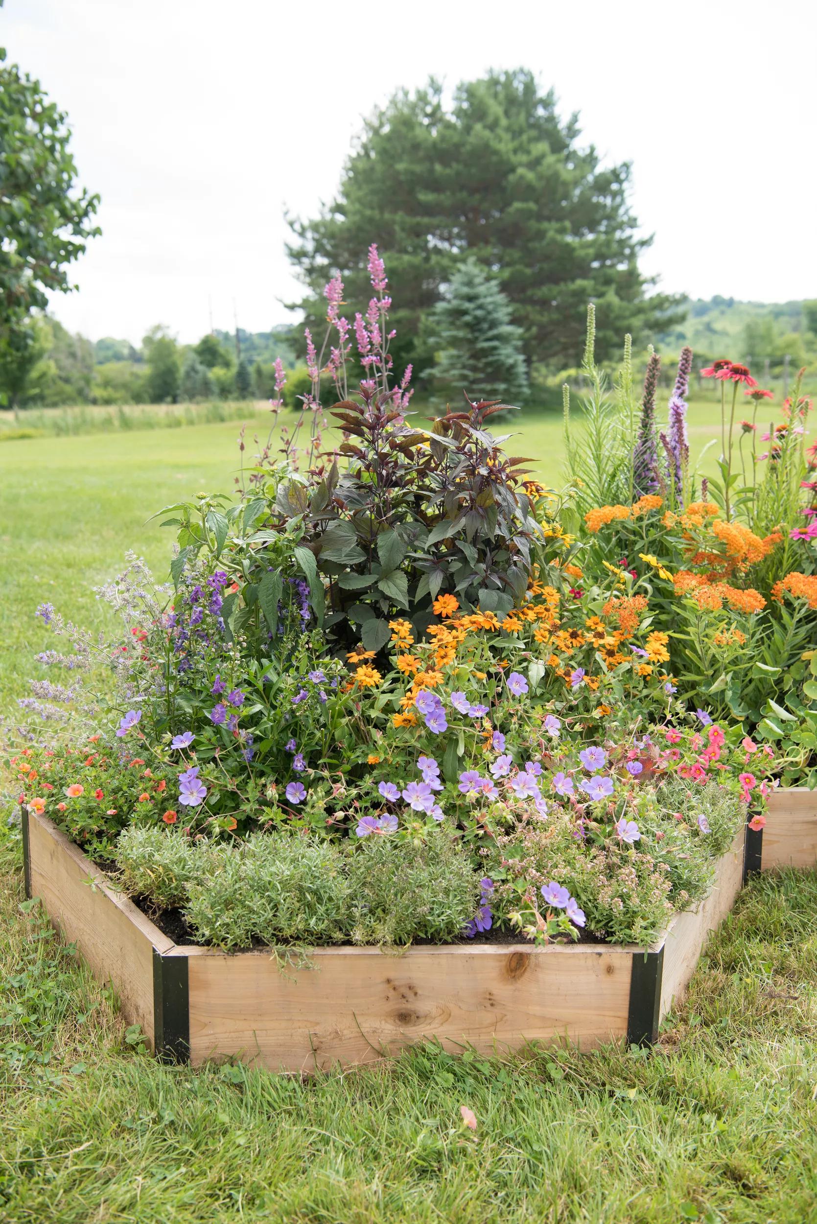 Pollinator Cedar Garden Bed – gdeupn