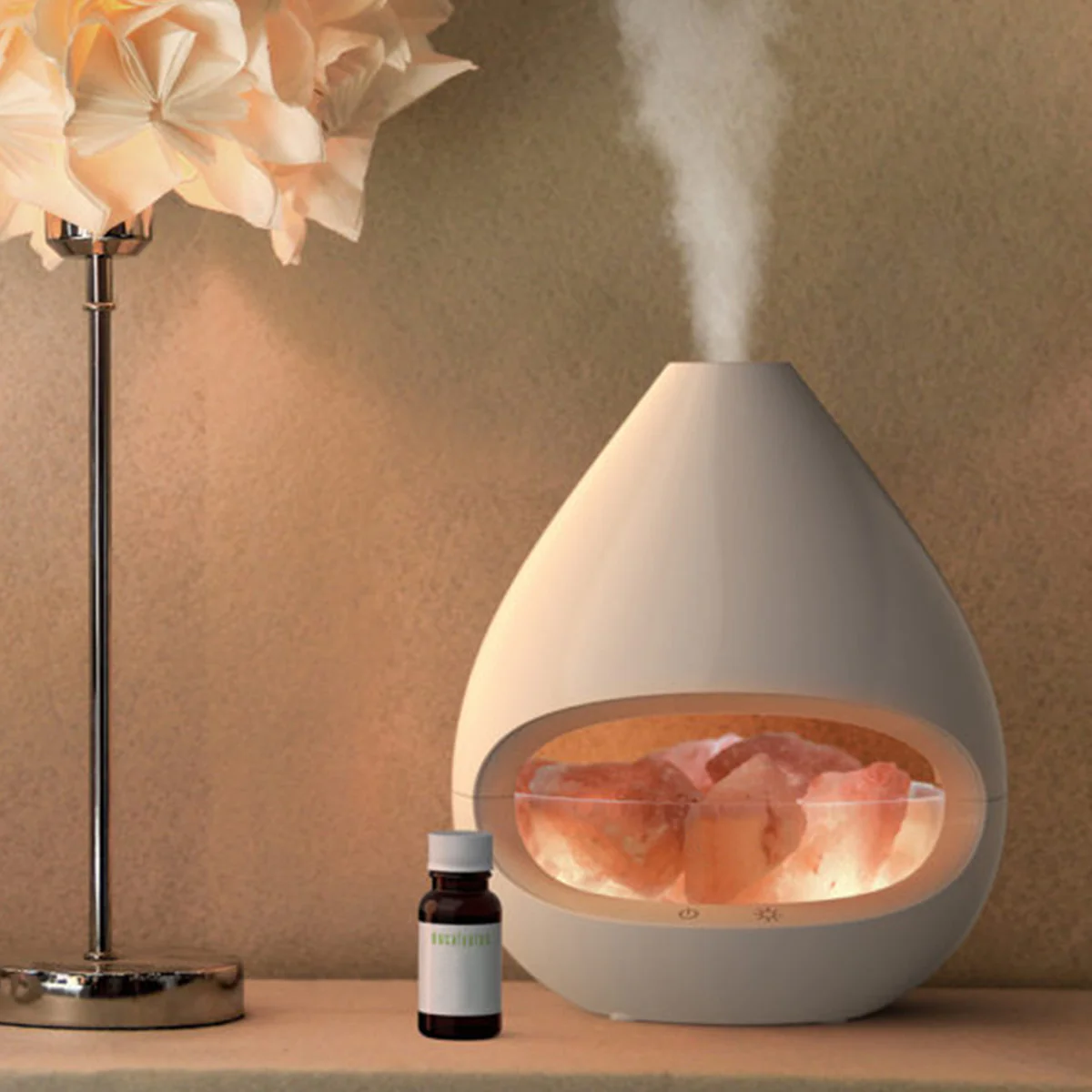 Himalayan Salt Lamp and Diffuser – srpmge