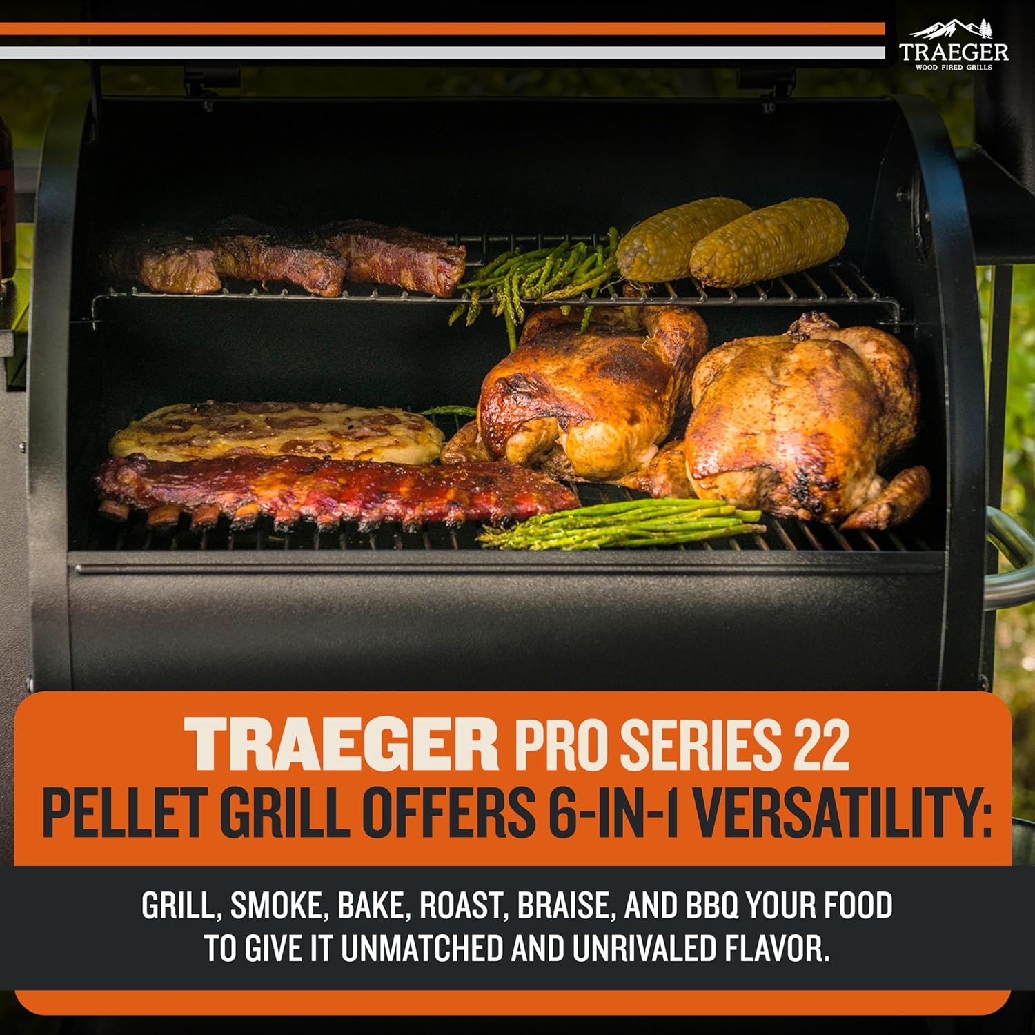 Traeger Pro 22 Wood Pellet Grill and Smoker Bronze 572 sq in – nexus