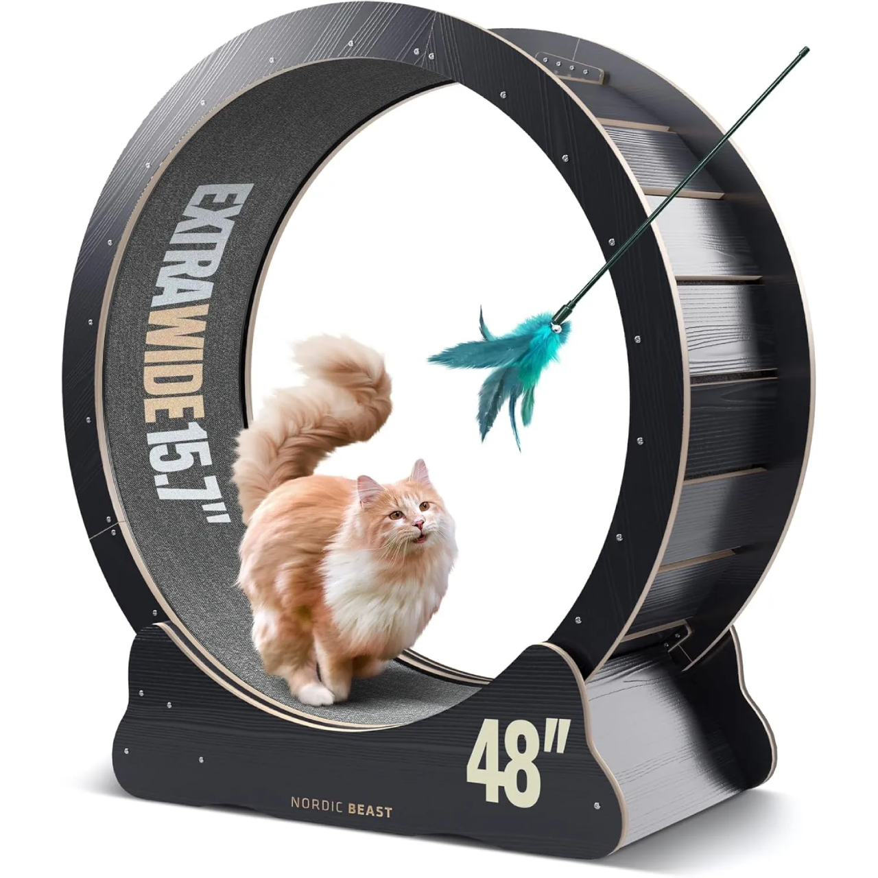 Nordic Beast 48” XL Cat Wheels for Indoor Cats Extra Wide Cat Treadmill ...